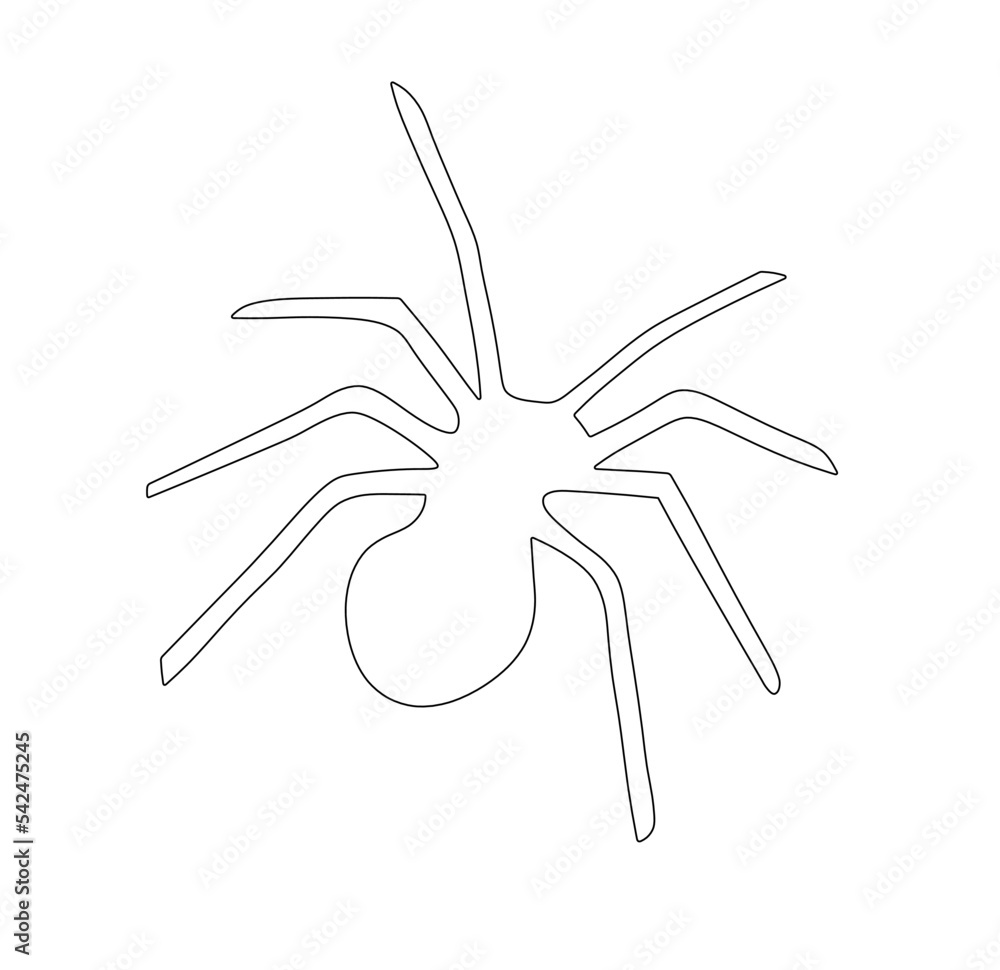 Vector isolated big large spider line stencil colorless black and white ...