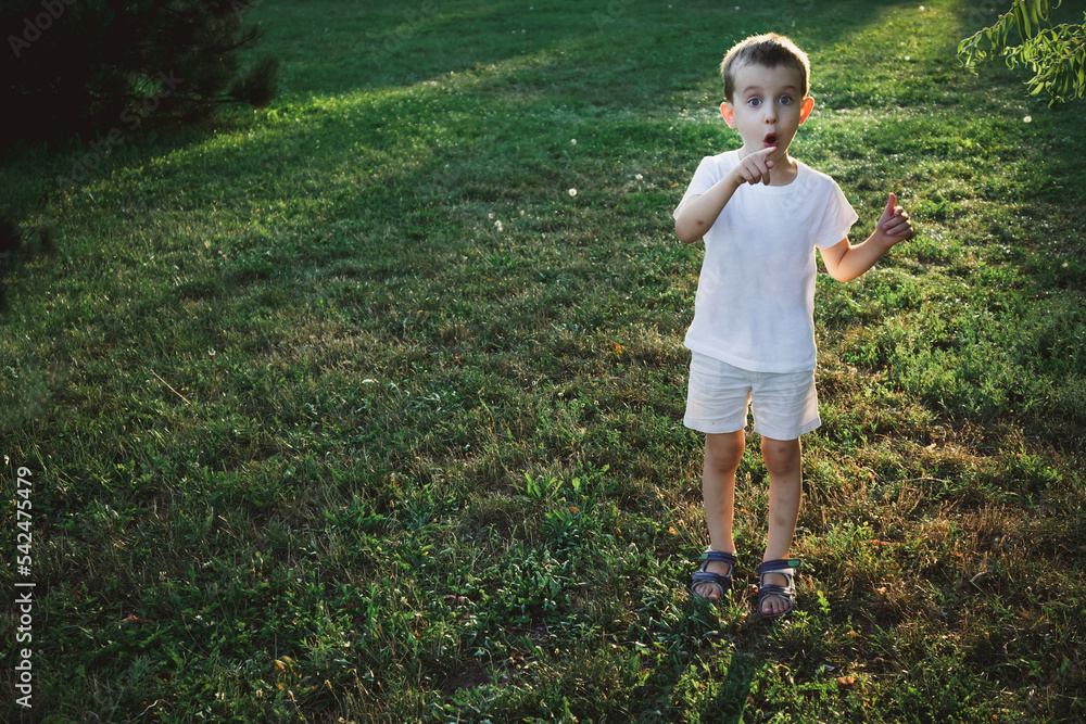 Surprised little boy pointing his finger at something outdoors Stock ...