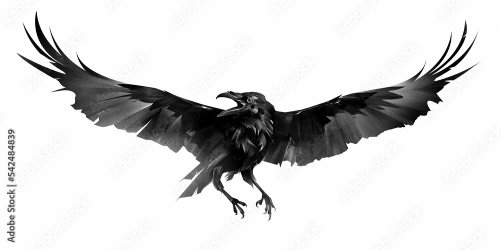 drawn bird in flight. black raven flapping wings Stock Illustration ...