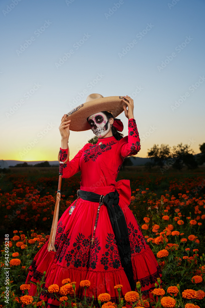 Catrina escaramuza mexicana. Stock Photo | Adobe Stock