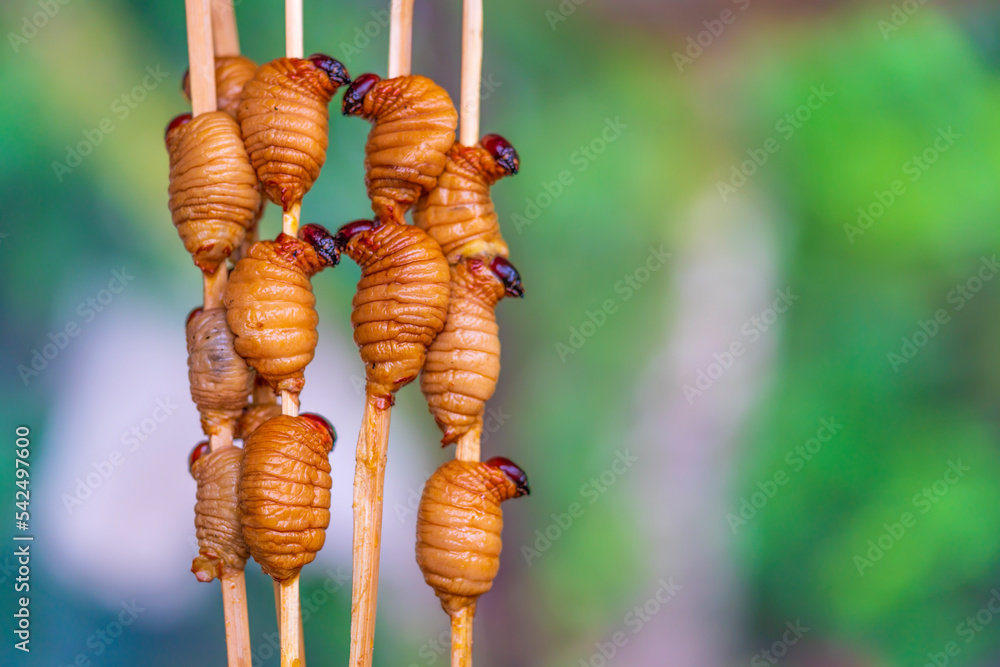 The most traditional cuisine of the indigenous people of the Peruvian ...