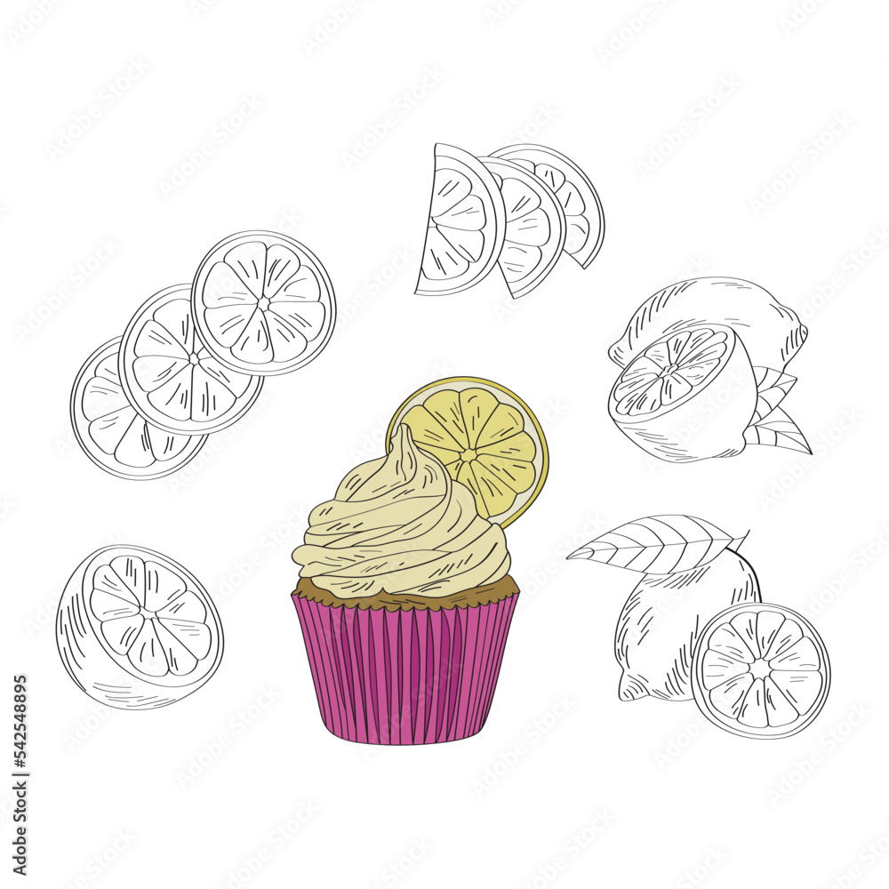Vector illustration of cake and lemon in hand drawn style. Can be used ...