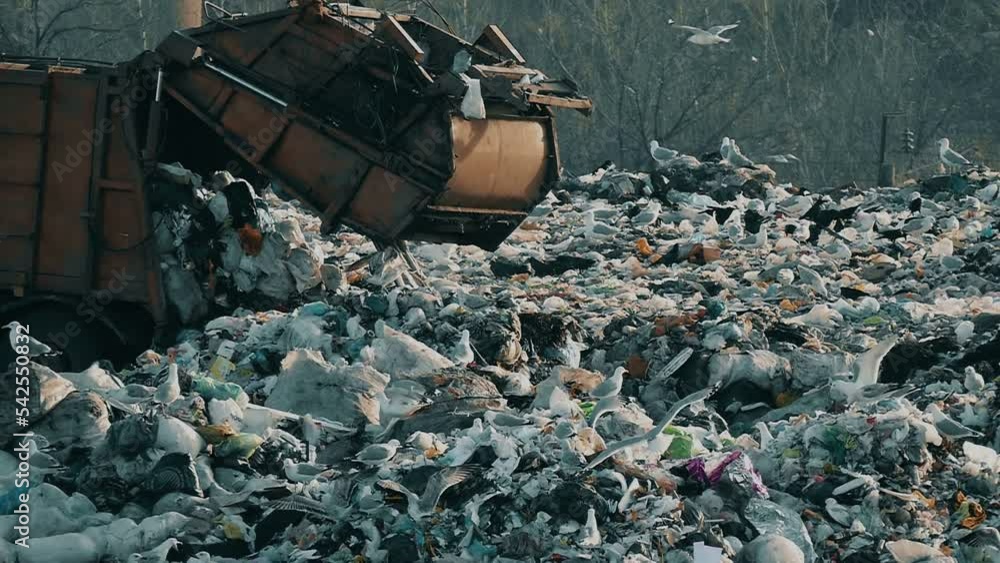 Garbage truck unloads city waste. Unsorted trash footage. Pollution of ...