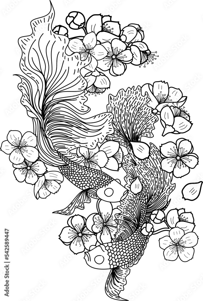 Hand drawn beta fish and sakura vector isolate on white background ...