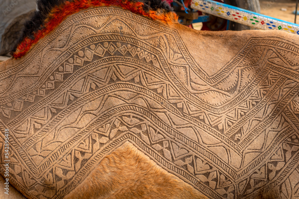 Camel owner carve beautiful and different designs on their camel skin ...