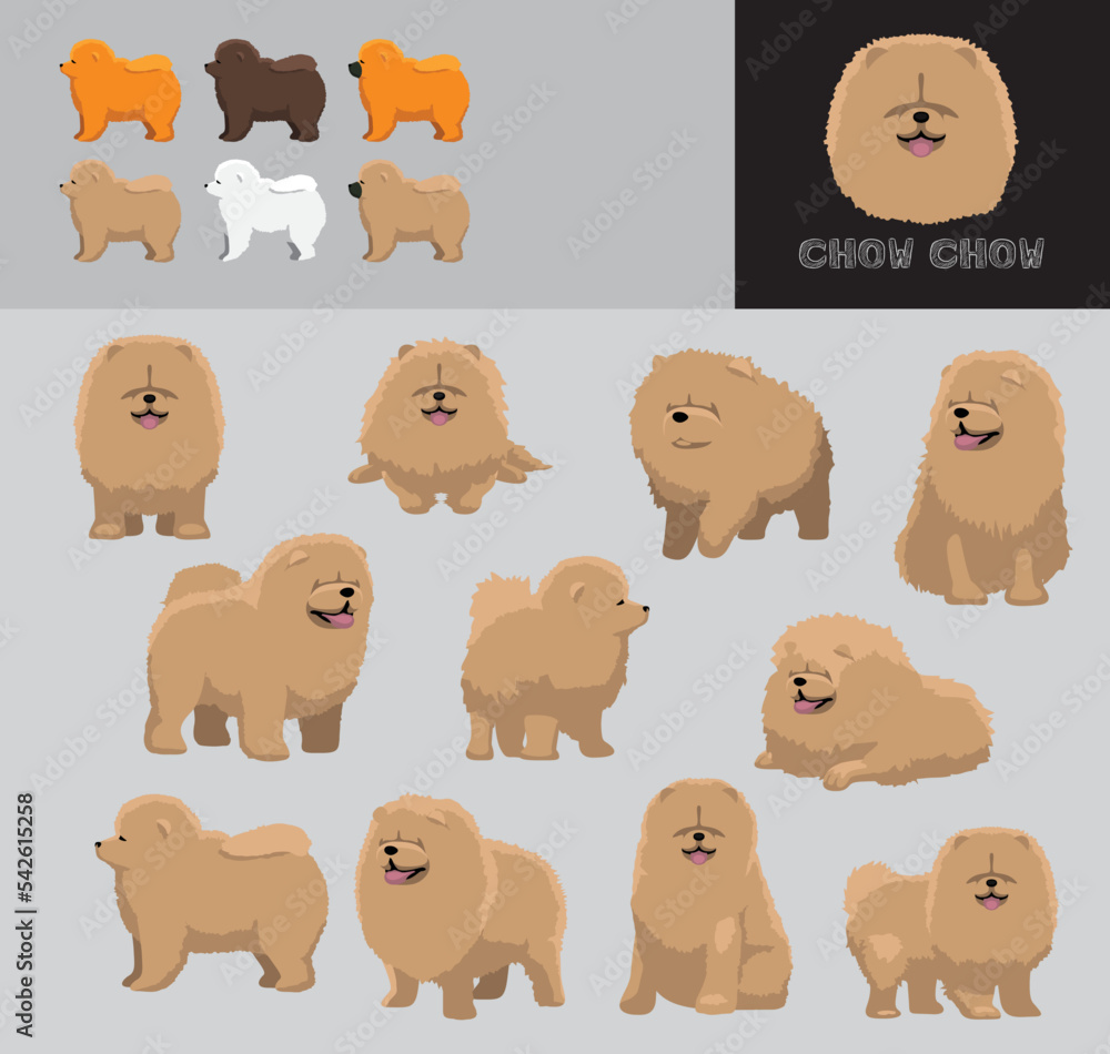 Dog Chow Chow Cartoon Vector Illustration Color Variation Set Brown ...