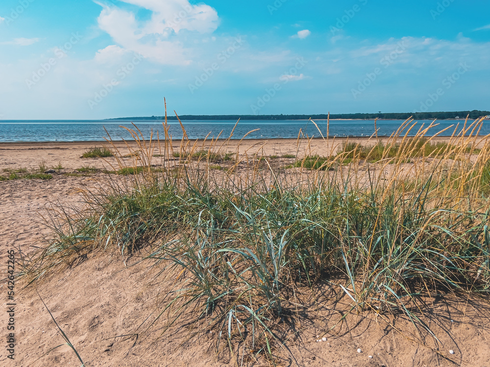 Vastra Stranden or Western Beach in town of Halmstad in Sweden in ...