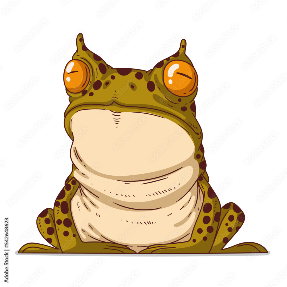 An Squinting Frog, isolated vector illustration. Cartoon picture of a ...
