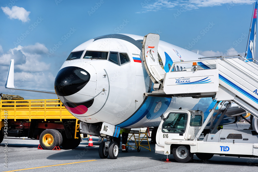 A big aircraft is getting ready for boarding at the airport in summer ...