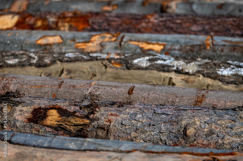 Different types of logs in a timber yard. Stock Photo | Adobe Stock