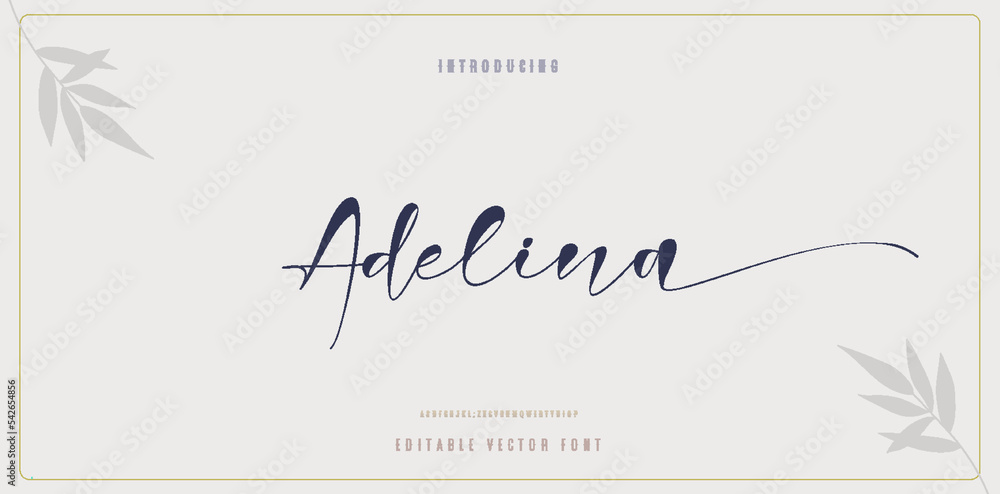 Adelina text elegant script alphabet letters font template on light background. Classic ...