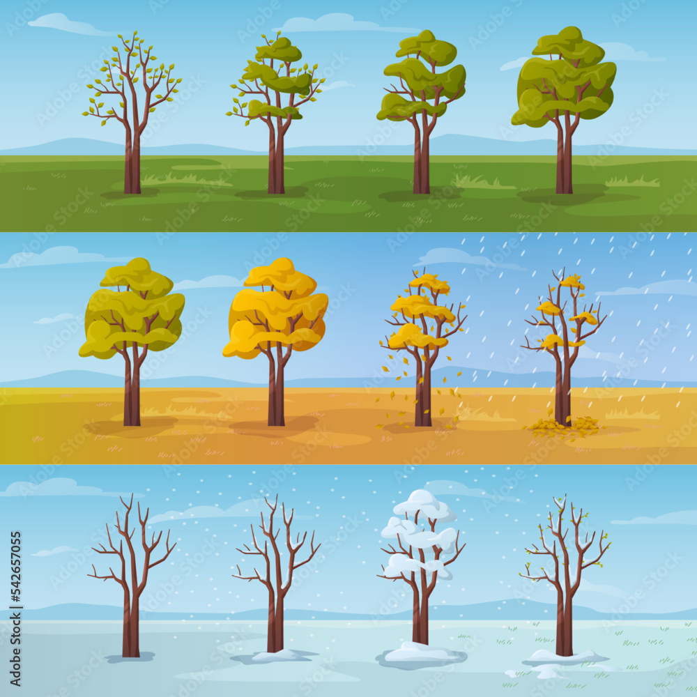 Tree during different seasons of year, cartoon set. Spring and summer ...