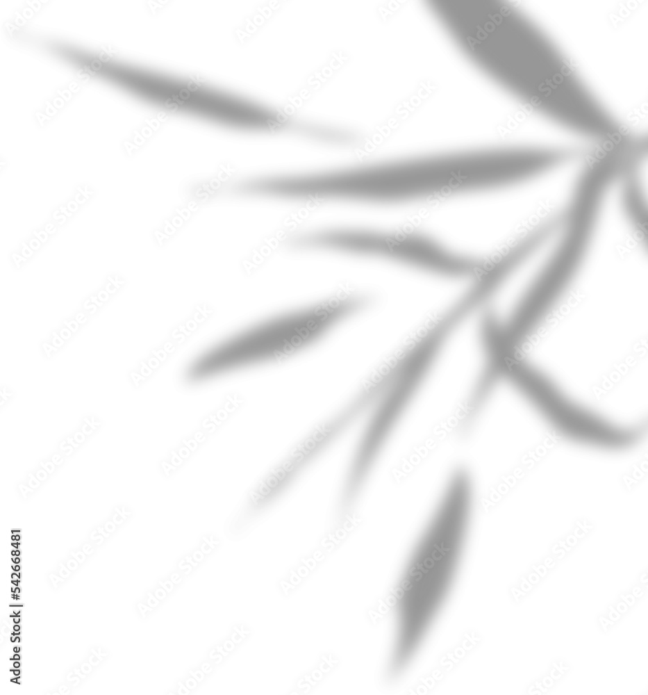 Transparent natural plant shadow. Light effect overlay. Mesh grid ...