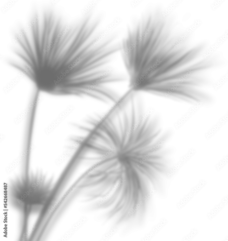 Transparent natural plant shadow. Light effect overlay. Mesh grid ...