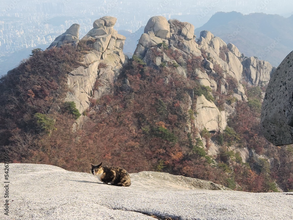 Foto de Bukhansan National Park - Baekundae Peak - autumn mountains ...