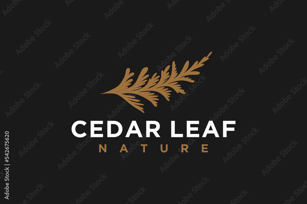 Cedar laef logo design nature icon symbol cypress arborvitae Stock ...