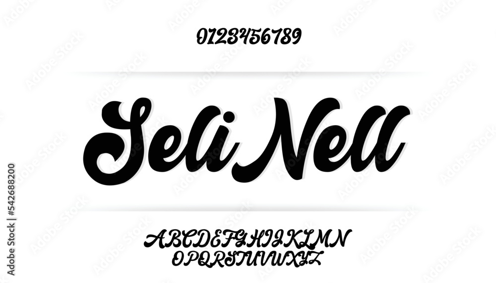 SELI NELL Hand drawn calligraphic vector monoline font. Distress ...