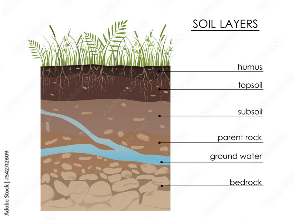 Soil layers diagram with underground water. Geology Underground ...
