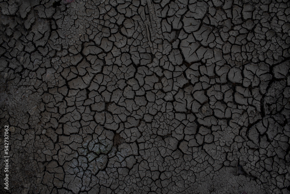 Gray dried and cracked ground earth background, Close up of dry fissure ...