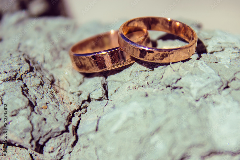 Beautiful gold wedding rings on the blue clay background. Wedding ...
