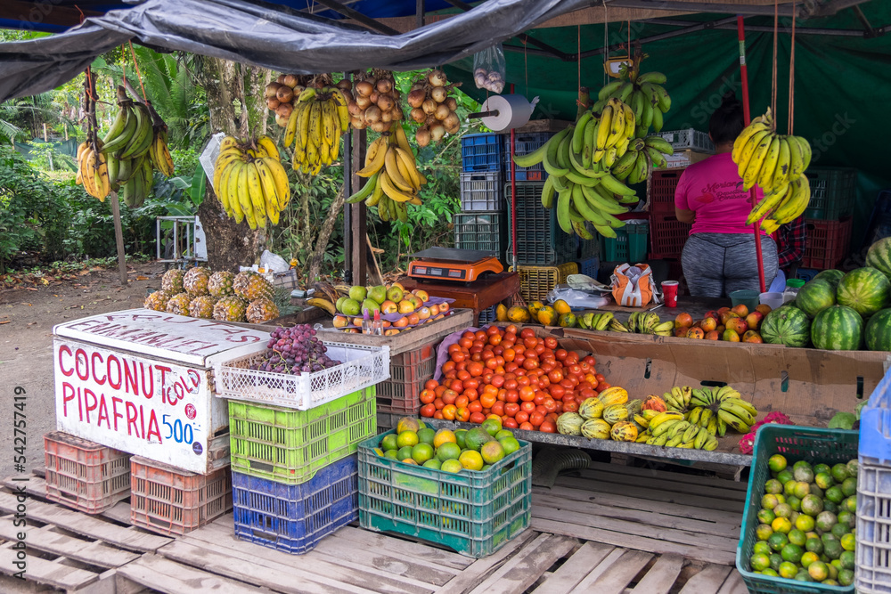 Puesto de venta de frutas en el pueblo de Puerto Viejo en Costa Rica ...