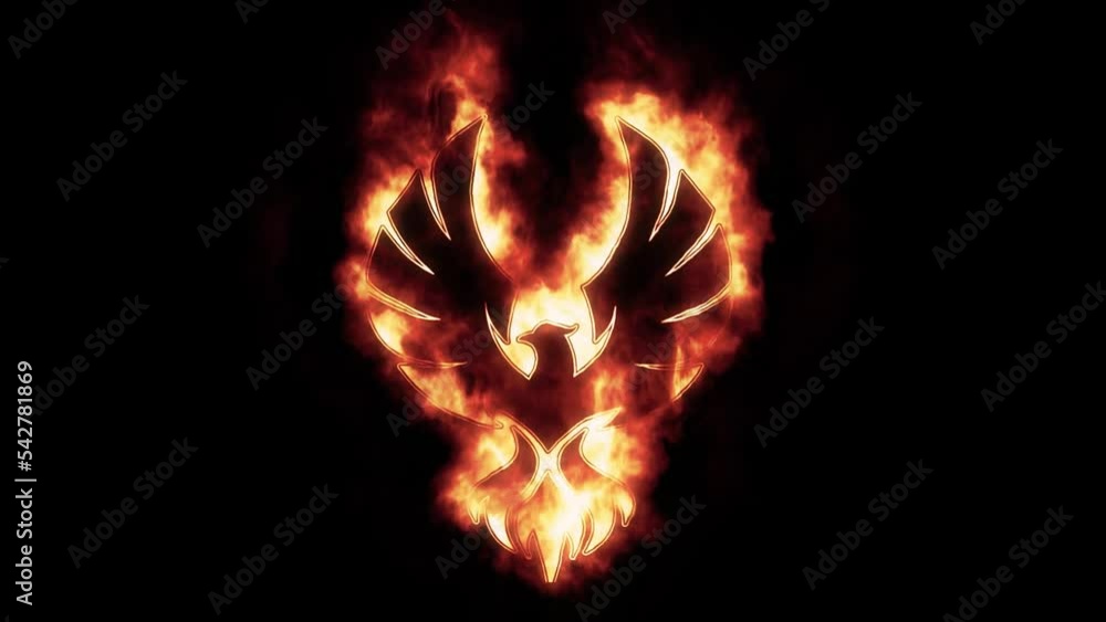Fire Eagle Phoenix Logo Looping Animation Graphic Element Stock Video ...