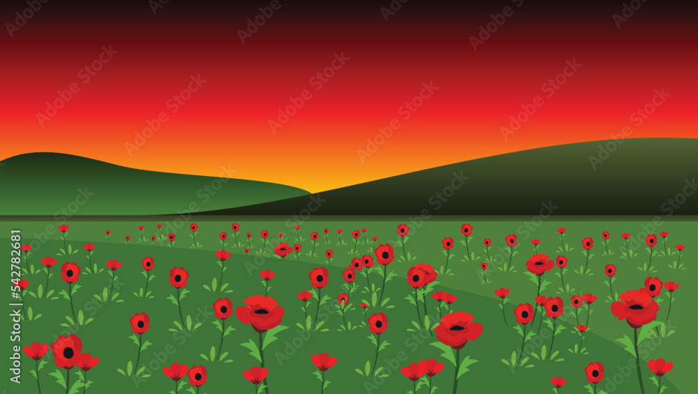 Remembrance day Field background with silhouette of a soldier alone in ...