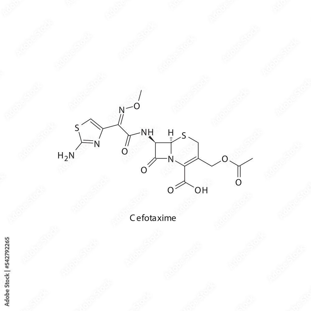 Cefotaxime flat skeletal molecular structure 3rd generation ...