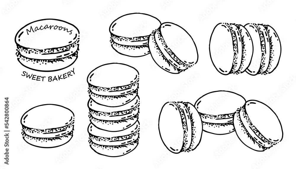 Macaroons sketch hand draw collection. Macaron sweet. Culinary and ...