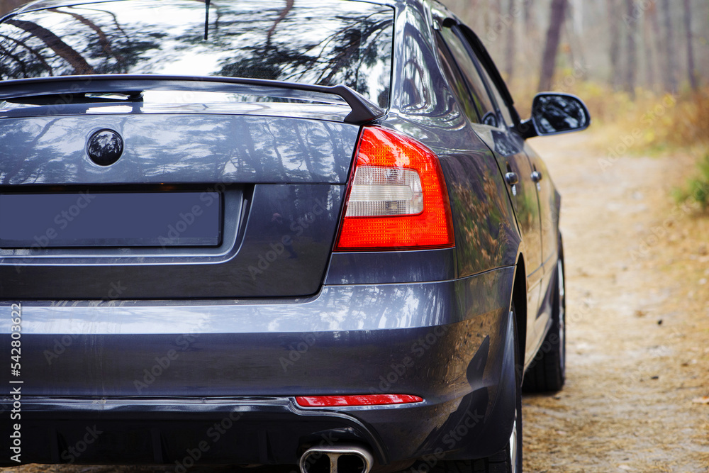 car in the forest, beautiful modern sports car. the back of the car is ...