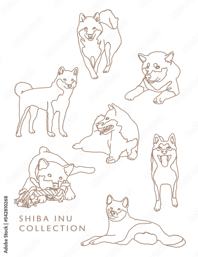 Shiba Inu Dog Outline Illustrations in Various Poses Stock Vector ...
