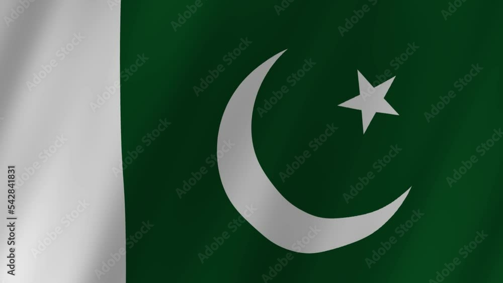 Vidéo Stock Pakistan flag waving animation. seamless loop animation ...