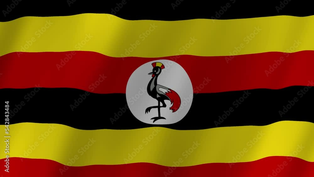 Uganda flag waving animation. seamless loop animation flag video waving ...