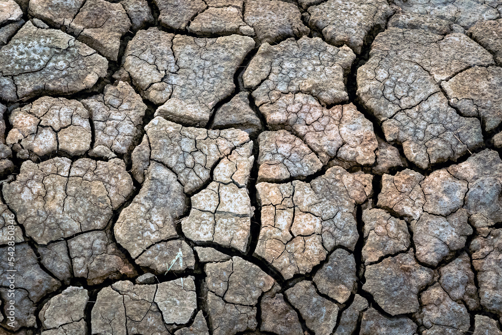 Dry soil surface with deep cracks textured background. Dried and ...