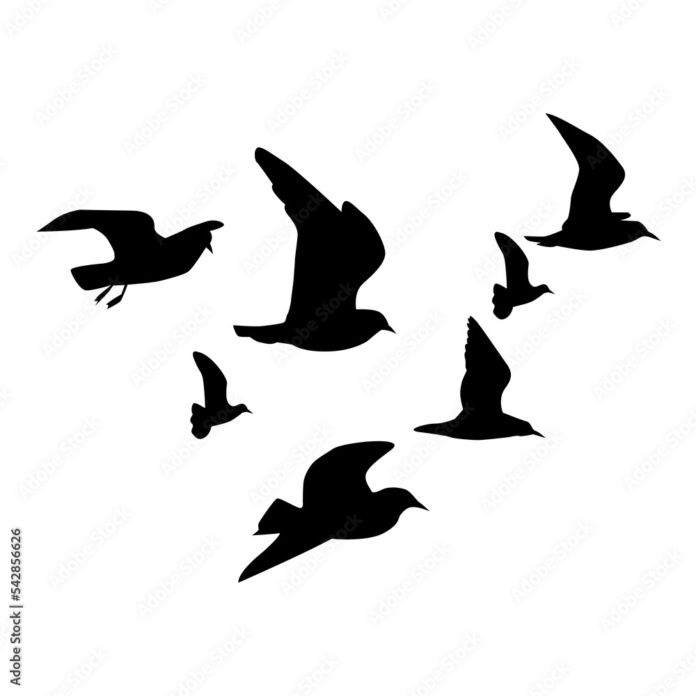 Flying Theme Png Format With Transparent Background Stock Illustration ...