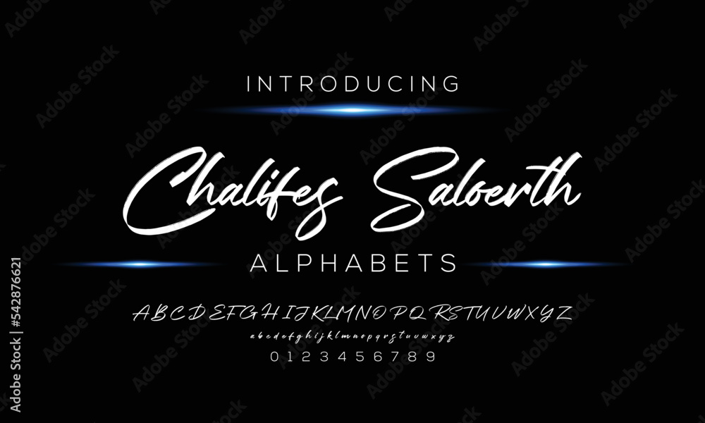 Hand drawn calligraphic vector monoline font. Distress signature ...
