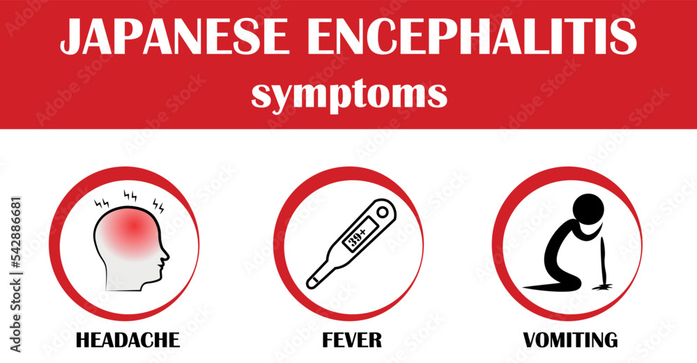 Japanese encephalitis, symptoms of disease, icon vector Stock Vector ...