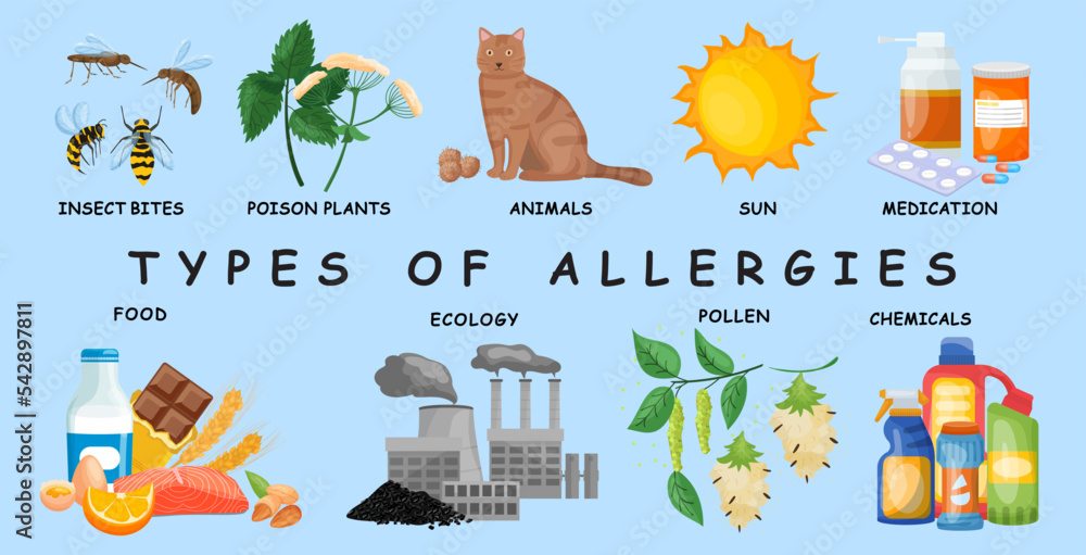 Types of allergies. Medical infographic. Vector illustration Stock ...