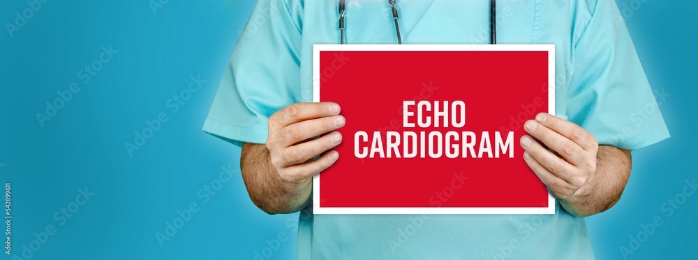 Echocardiogram (ECG). Doctor shows red sign with medical word on it ...
