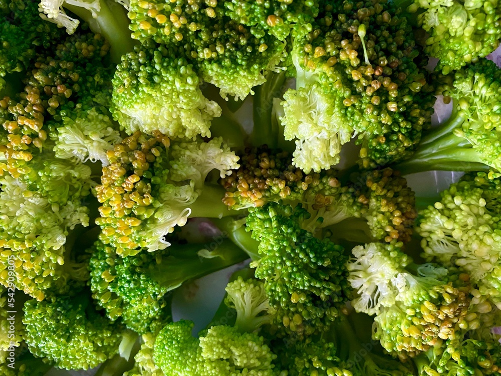 Macro shot of green broccoli close up, texture of broccoli, ugly ...