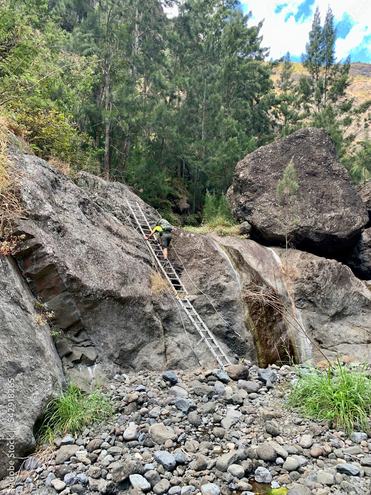 Passage avec échelle sur le GRR2, ile de la réunion Stock Photo | Adobe ...