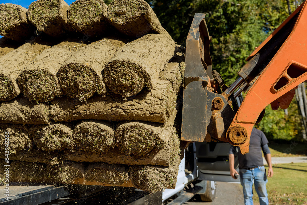 Foto de Forklift boom truck unloading green grass turf rolls on pallets ...