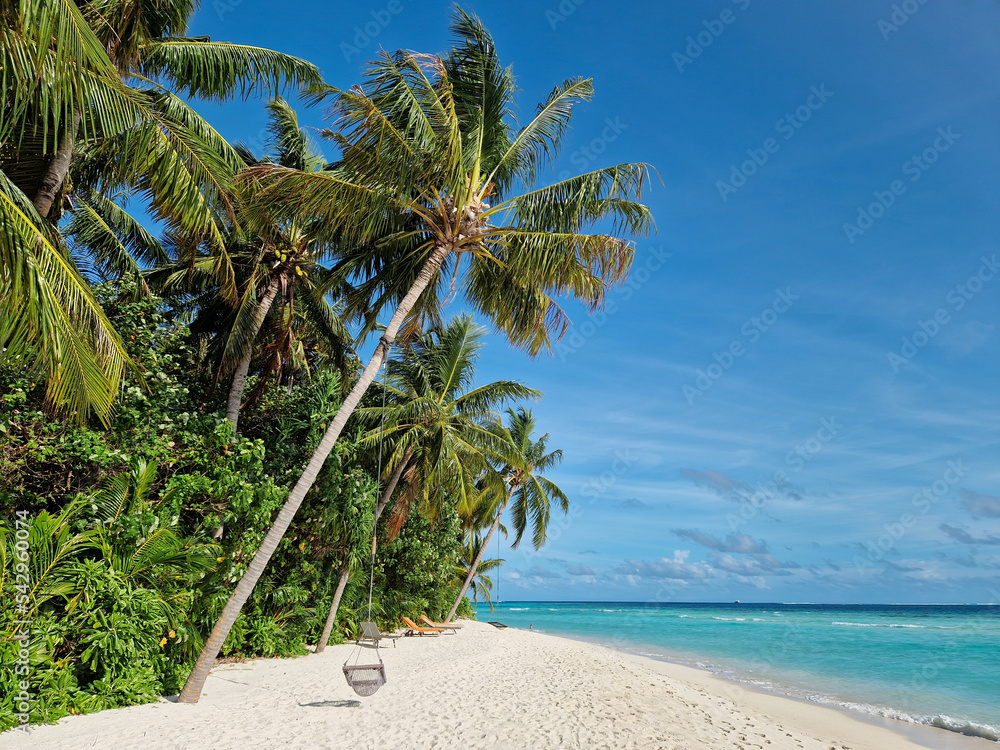 Ein Strand auf den Malediven mit vielen Palmen, Sonnenliegen, einer ...
