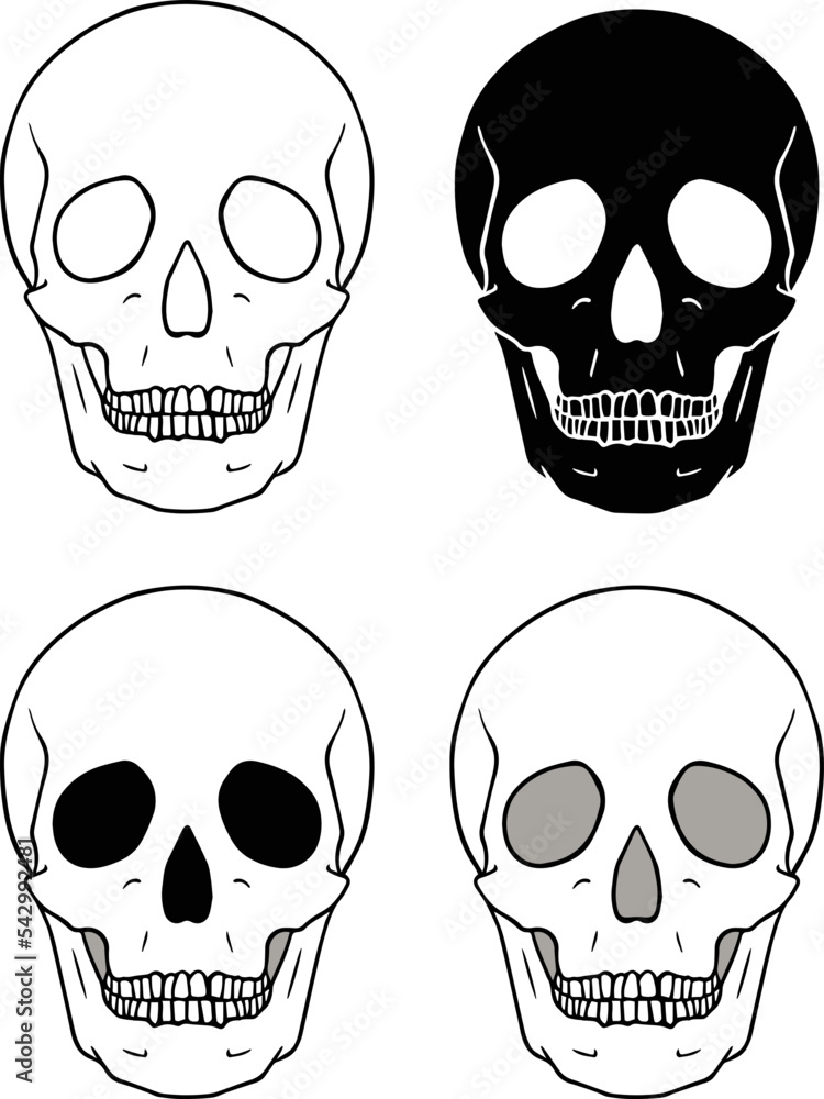 Human Skull Front Facing Clipart Set - Outline, Silhouette & Color ...