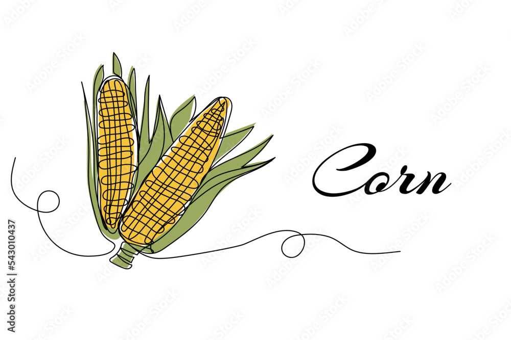 Continuous one line drawing of corn. Vector illustration on isolated ...