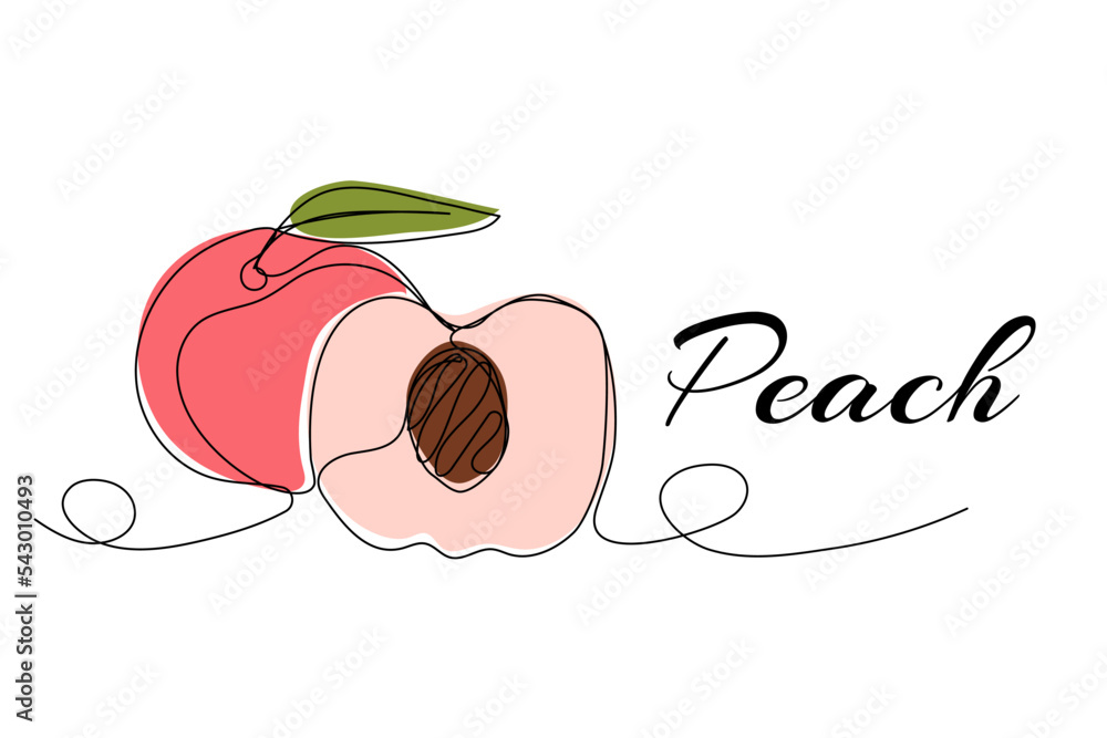 Continuous one line drawing of peach. Vector illustration on isolated ...