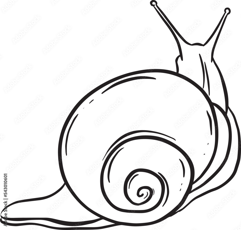 Line Art Outline of a Garden Snail with Shell for Logo or Mascot Design ...