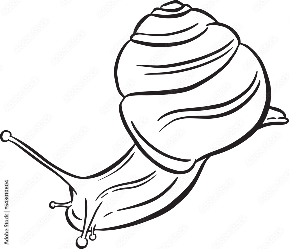 Line Art Outline of a Garden Snail with Shell for Logo or Mascot Design ...