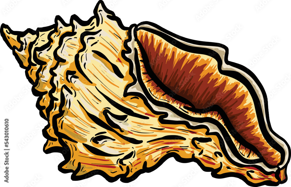 Conch Sea Snail Shell Outline Cartoon Style Logo Design in Vector Stock ...