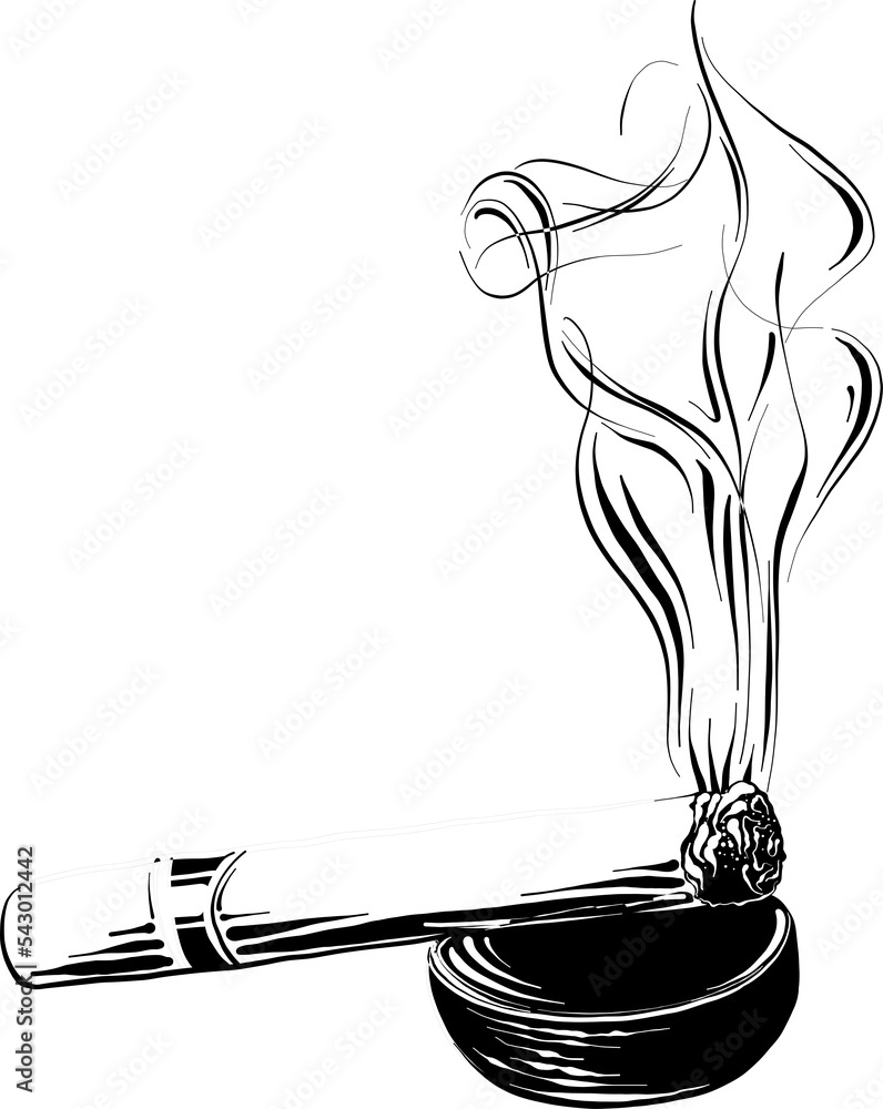 PNG engraved style illustration for posters, logo, emblem, decoration ...